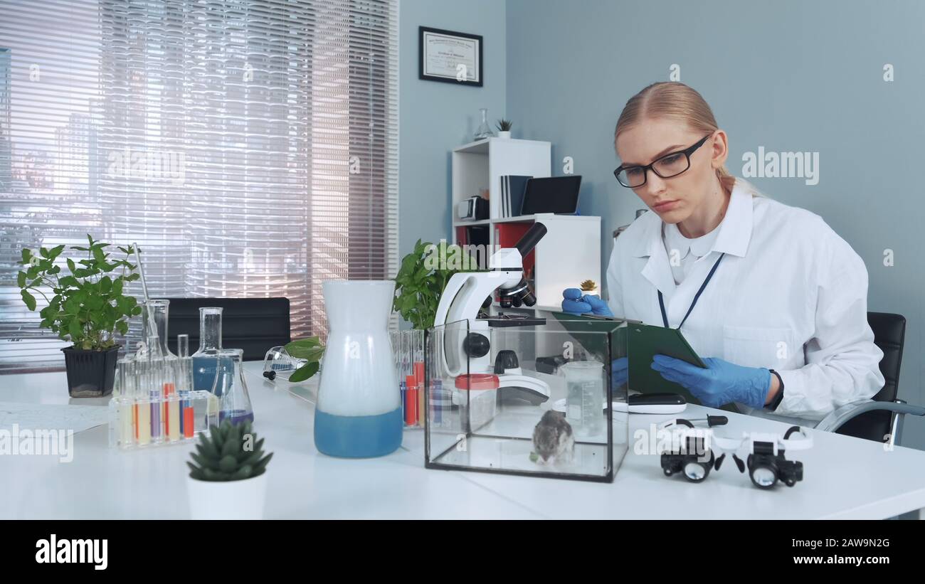 Experiment on hamster in modern hi-res stock photography and images - Alamy