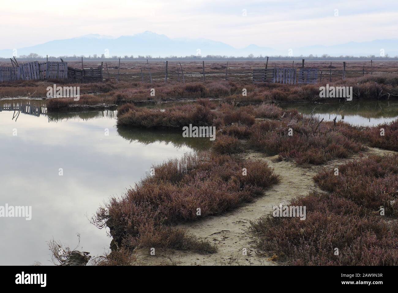estuary of Axios river, lagoons and moors Stock Photo - Alamy