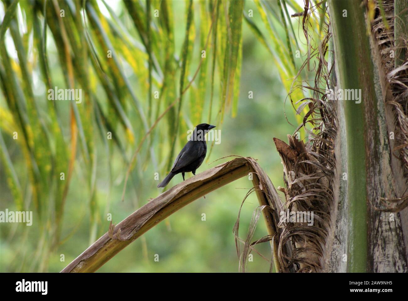 Extrema brazil hi-res stock photography and images - Alamy