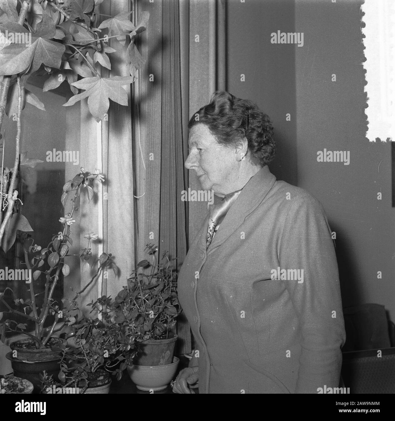 Van der veenstraat amsterdam hi-res stock photography and images - Alamy