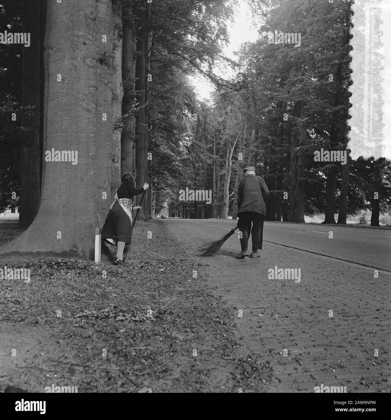 Last autumn. Sweeping leaves the Middachter Allee between Lane and ...