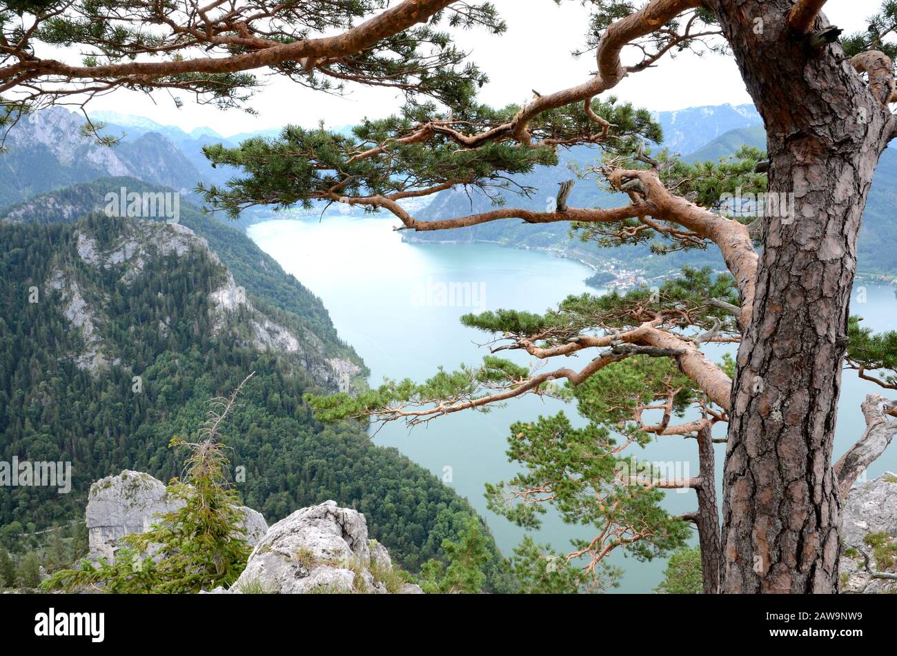 Lake Traunsee is one of many beautiful lakes in the famous ...