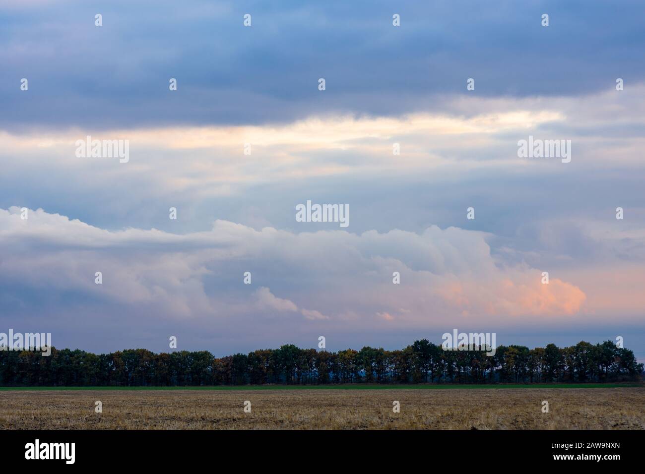 texture of a colorful sky with clouds and sun Stock Photo - Alamy