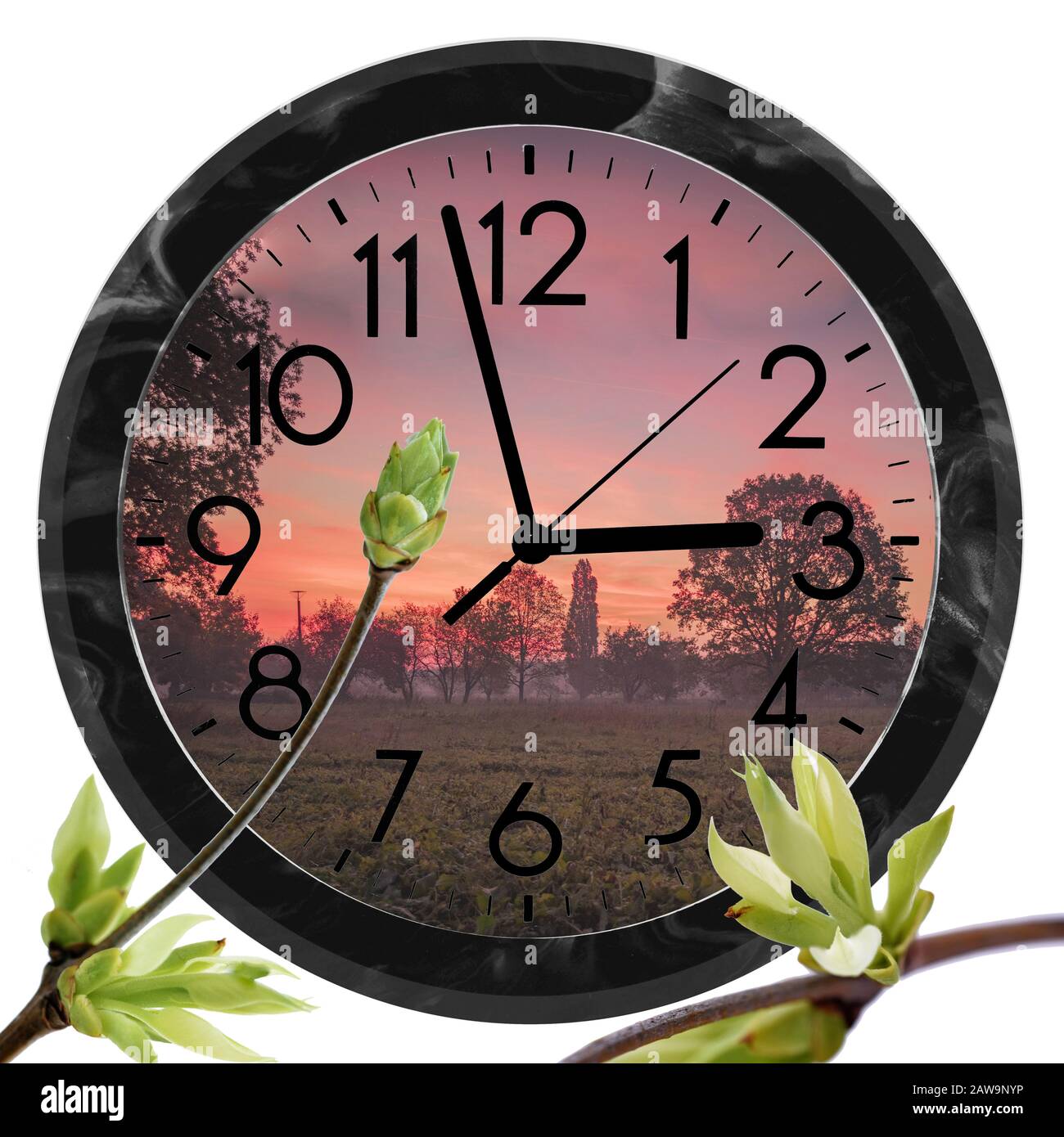 Daylight Saving Time (DST). Wall Clock going to summer time (+1). Turn ...