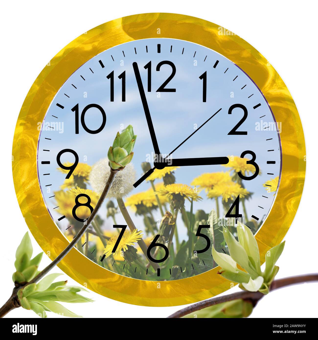 Daylight Saving Time (DST). Wall Clock going to summer time (+1). Turn ...
