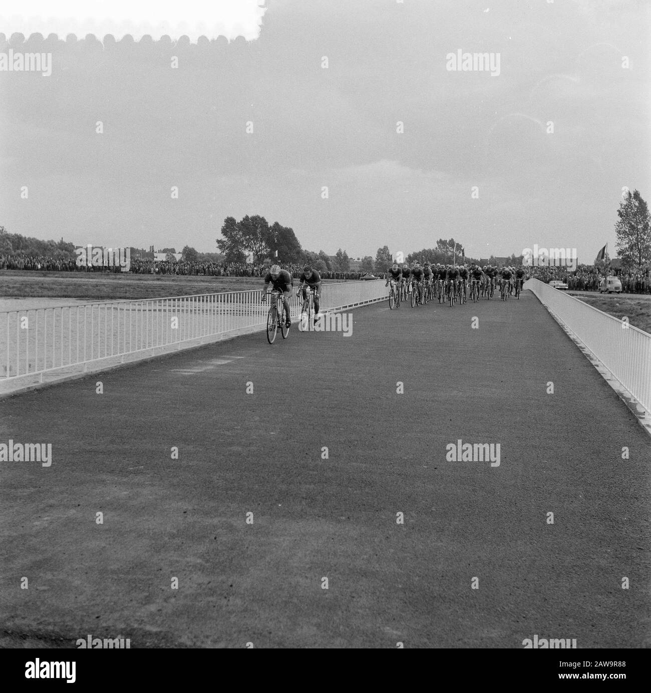 Professionals network Black and White Stock Photos & Images - Alamy