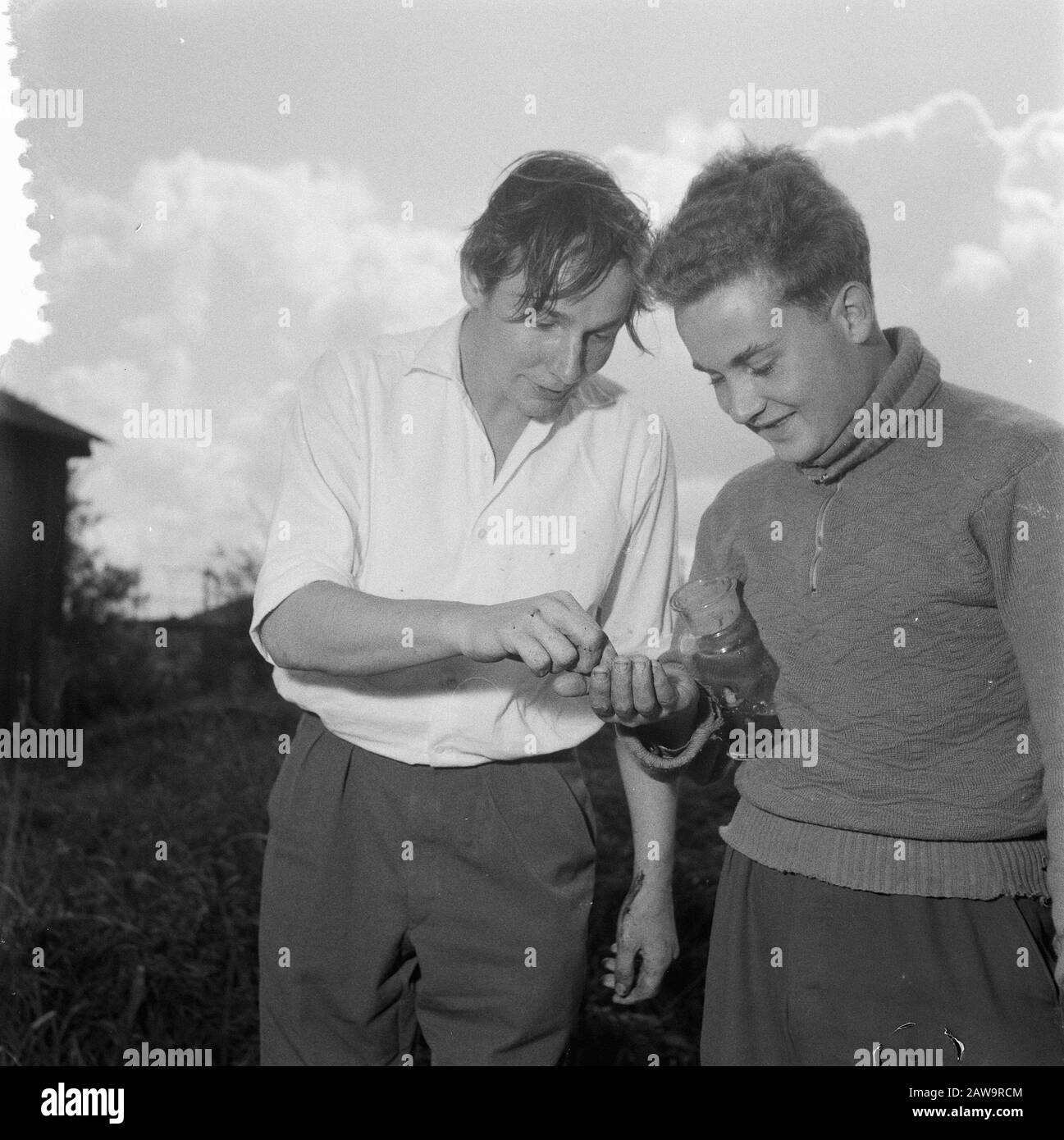 Radioactive frogs hi-res stock photography and images - Alamy