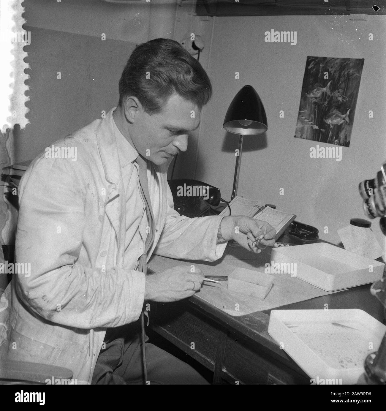 Radioactive Frogs High Resolution Stock Photography and Images - Alamy