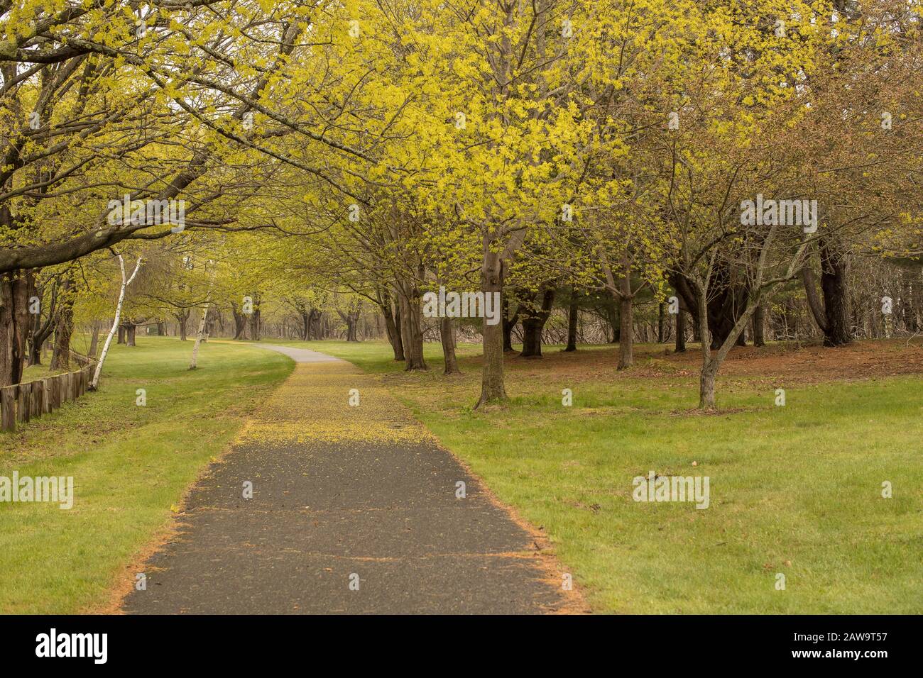 Pannaway plantation hi-res stock photography and images - Alamy