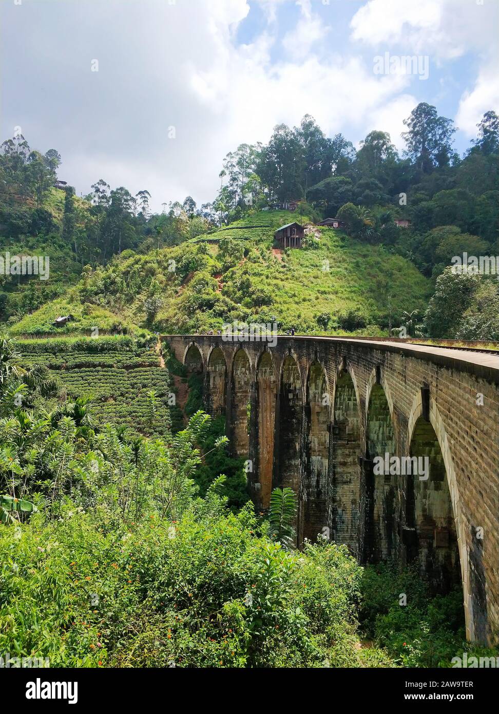 The famous nine-arch bridge of the railway in the jungle in Sri Lanka ...