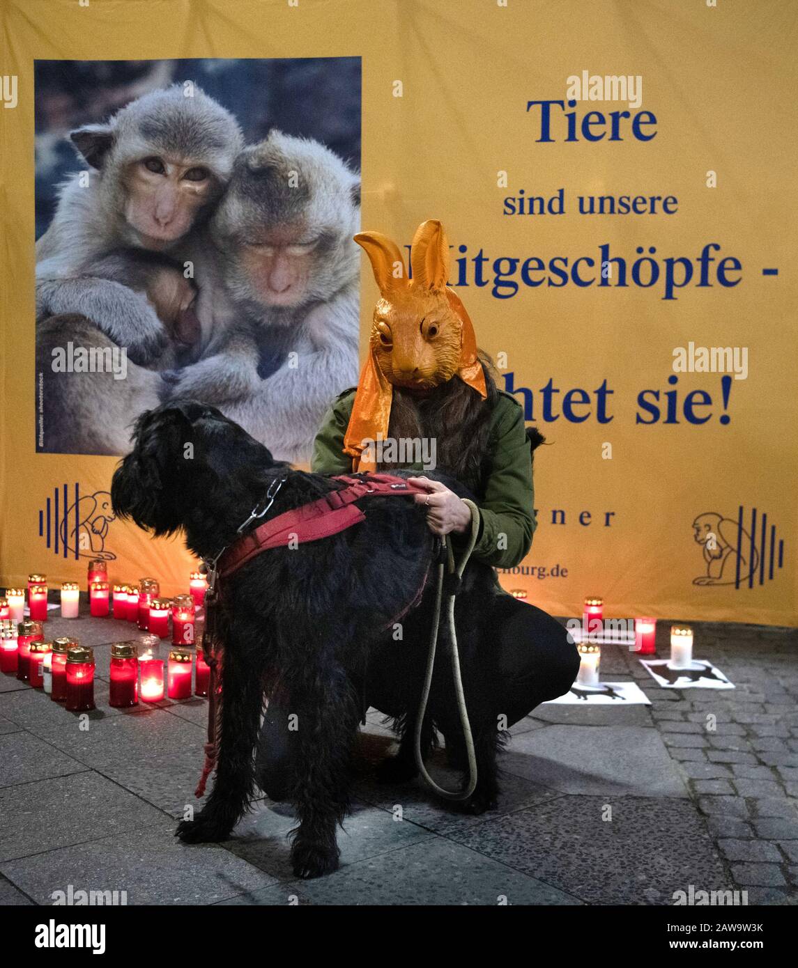 Respect for animals poster hi-res stock photography and images - Alamy