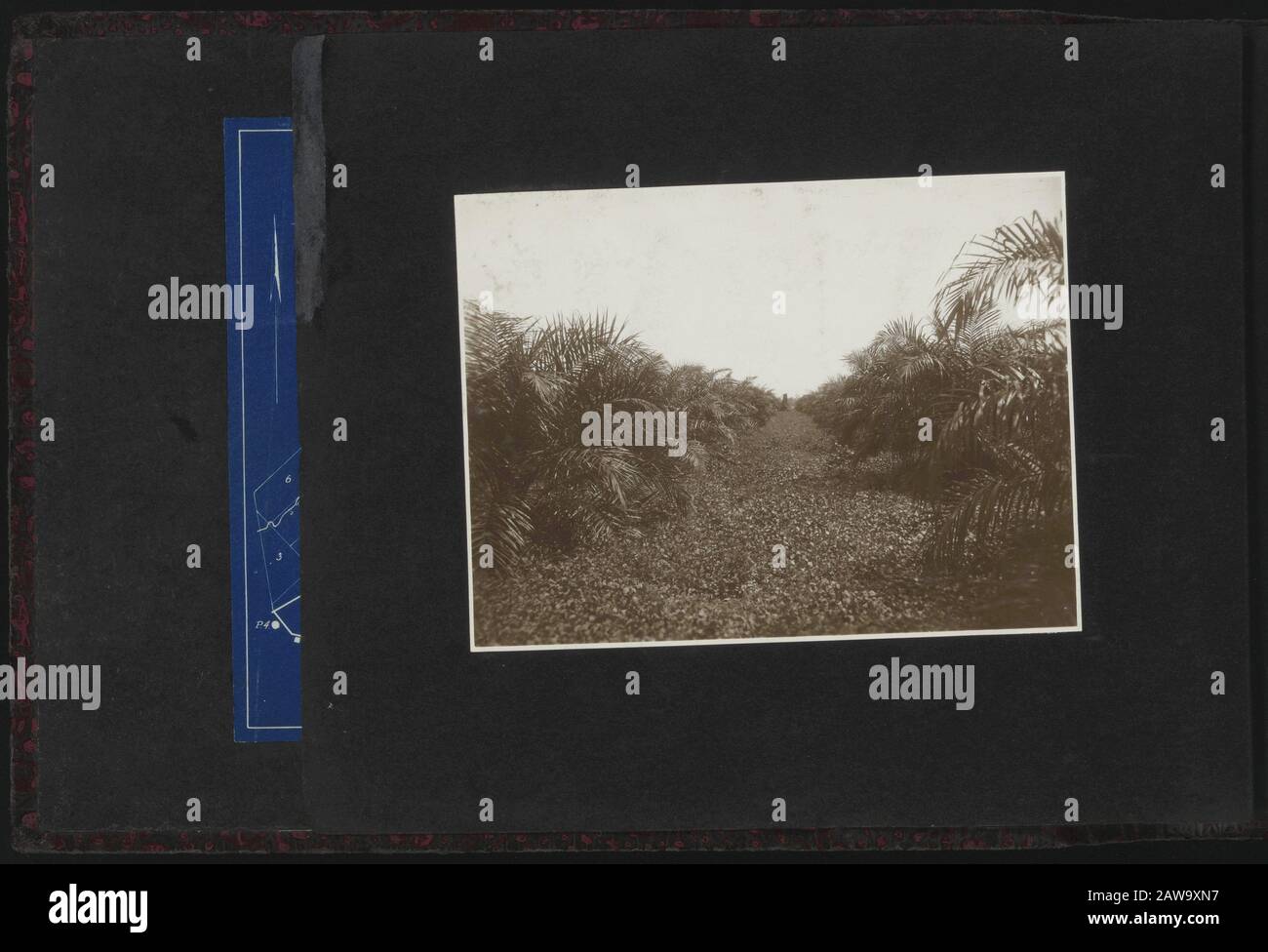 Staff Deli Company (1872-1885) Cover Album Stock Photo - Alamy