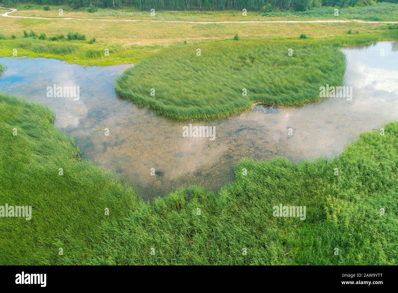 Aerial view of the winding brook on a spring sunny day. Beautiful ...