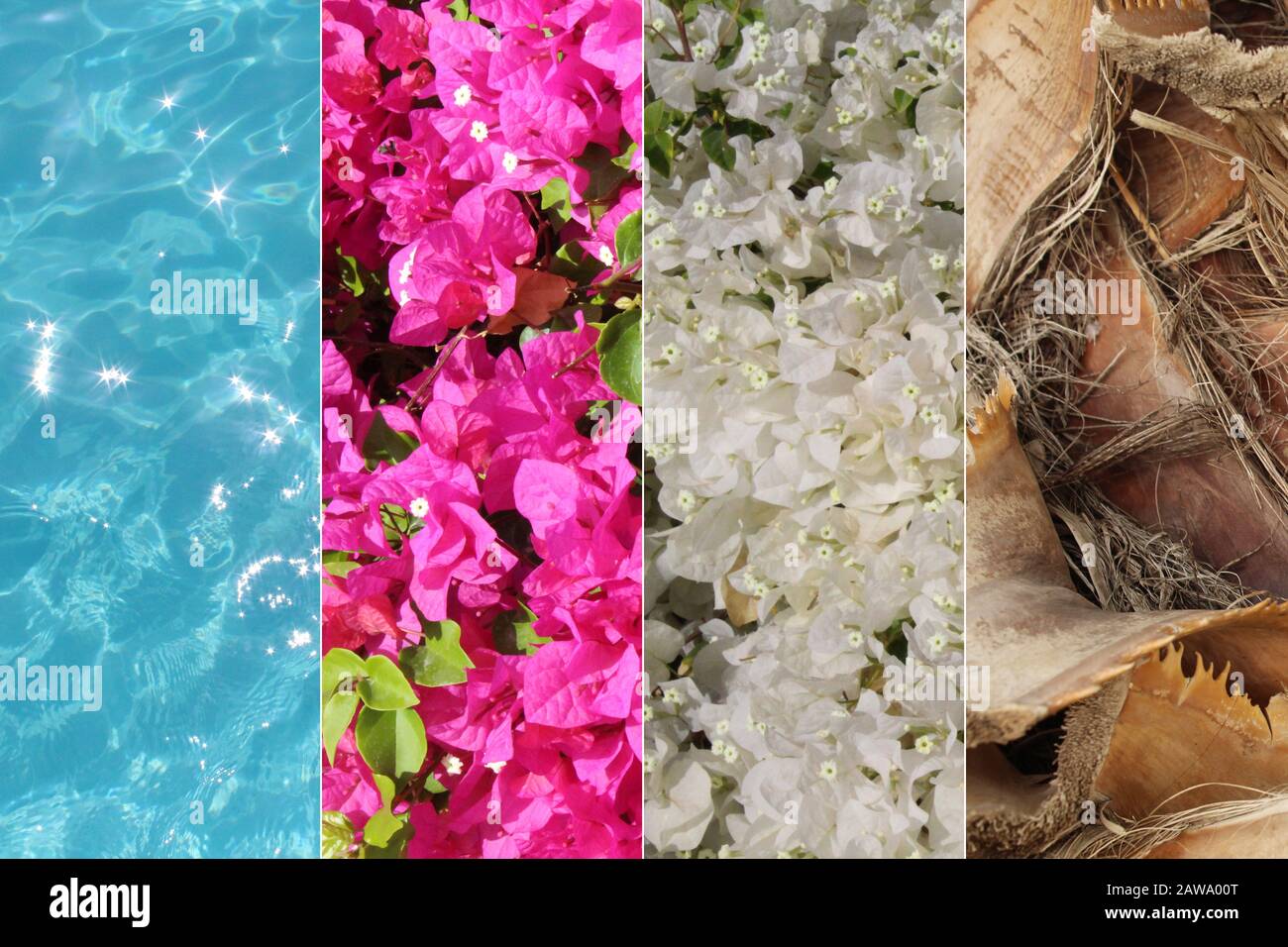 Different, beautiful textures in one collage Stock Photo - Alamy