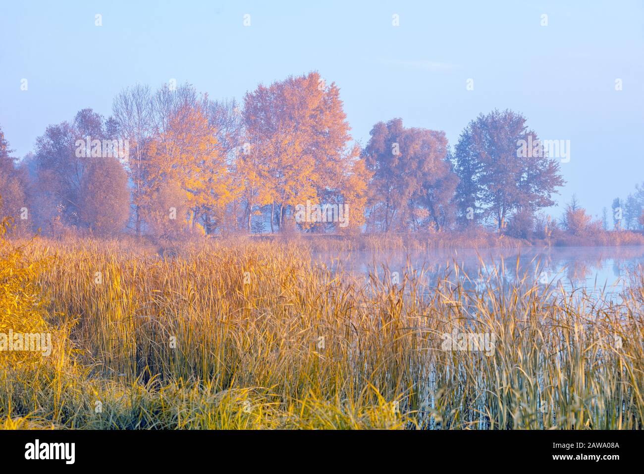 Early misty morning. Sunrise over the lake. Rural landscape in autumn ...