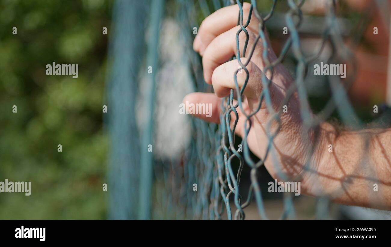 Desperate Man Hands Hanging on a Metallic Fence Inside a Prison ...