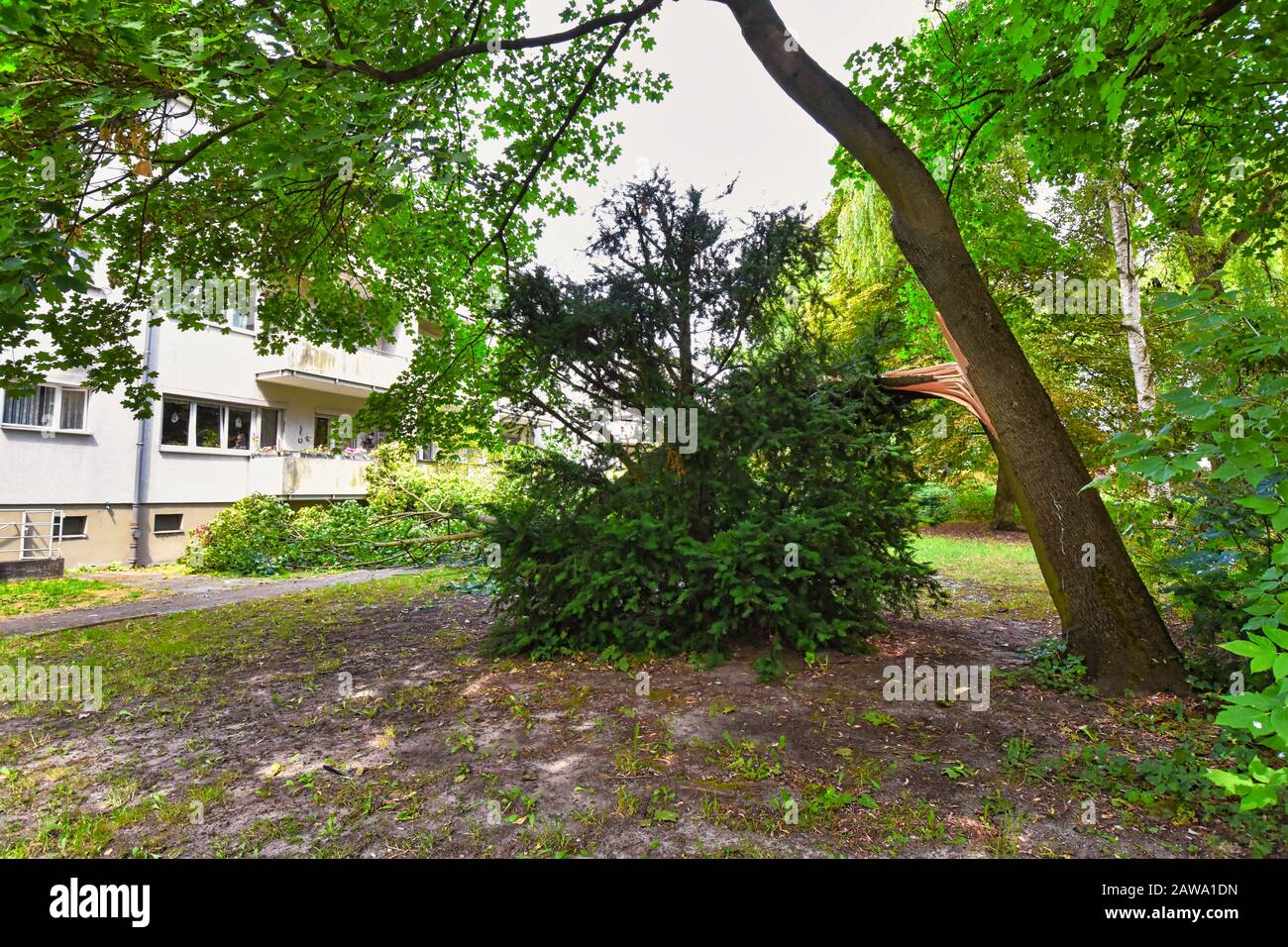 Narrowly missed hi-res stock photography and images - Alamy
