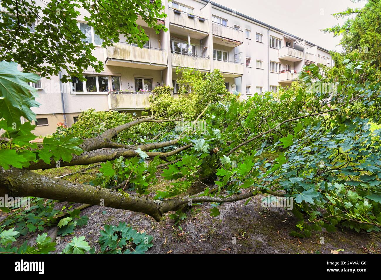 Tornado storm wind weather disaster house home destruction hi-res stock ...