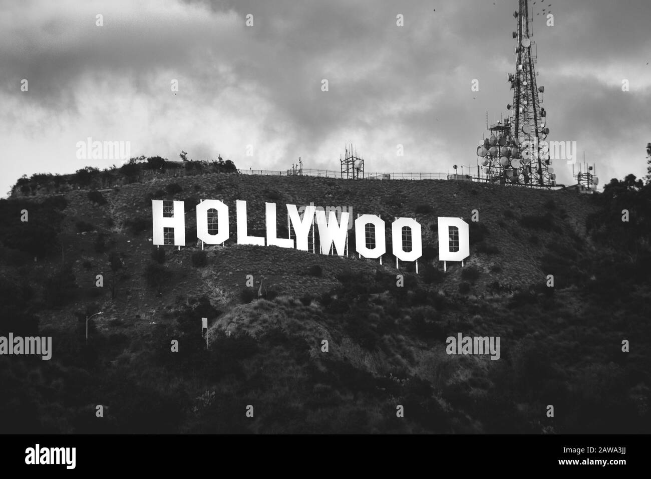 Hollywood Sign At Night Tumblr