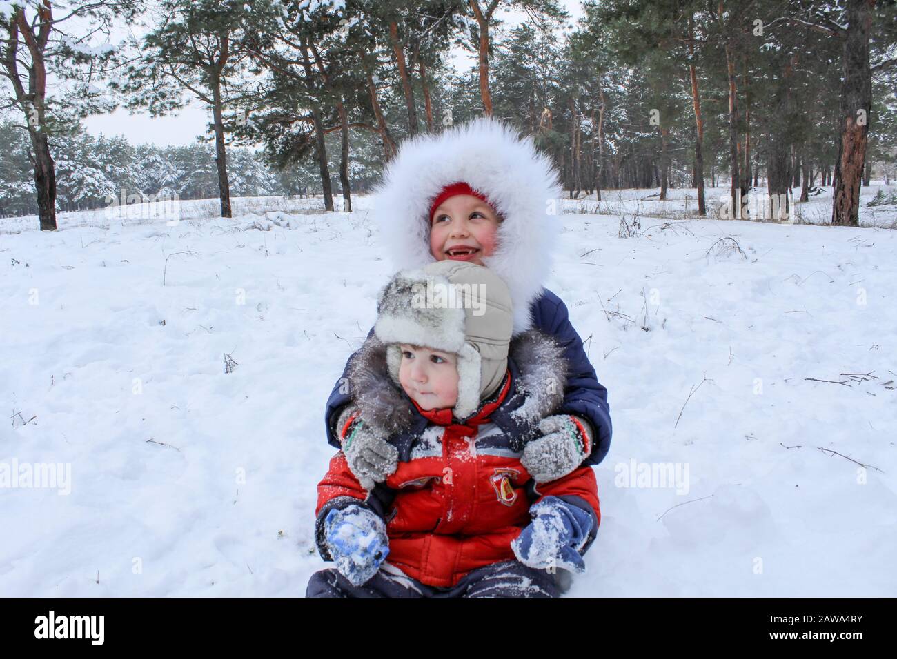 Children walk in the winter covered with snow forest Stock Photo - Alamy