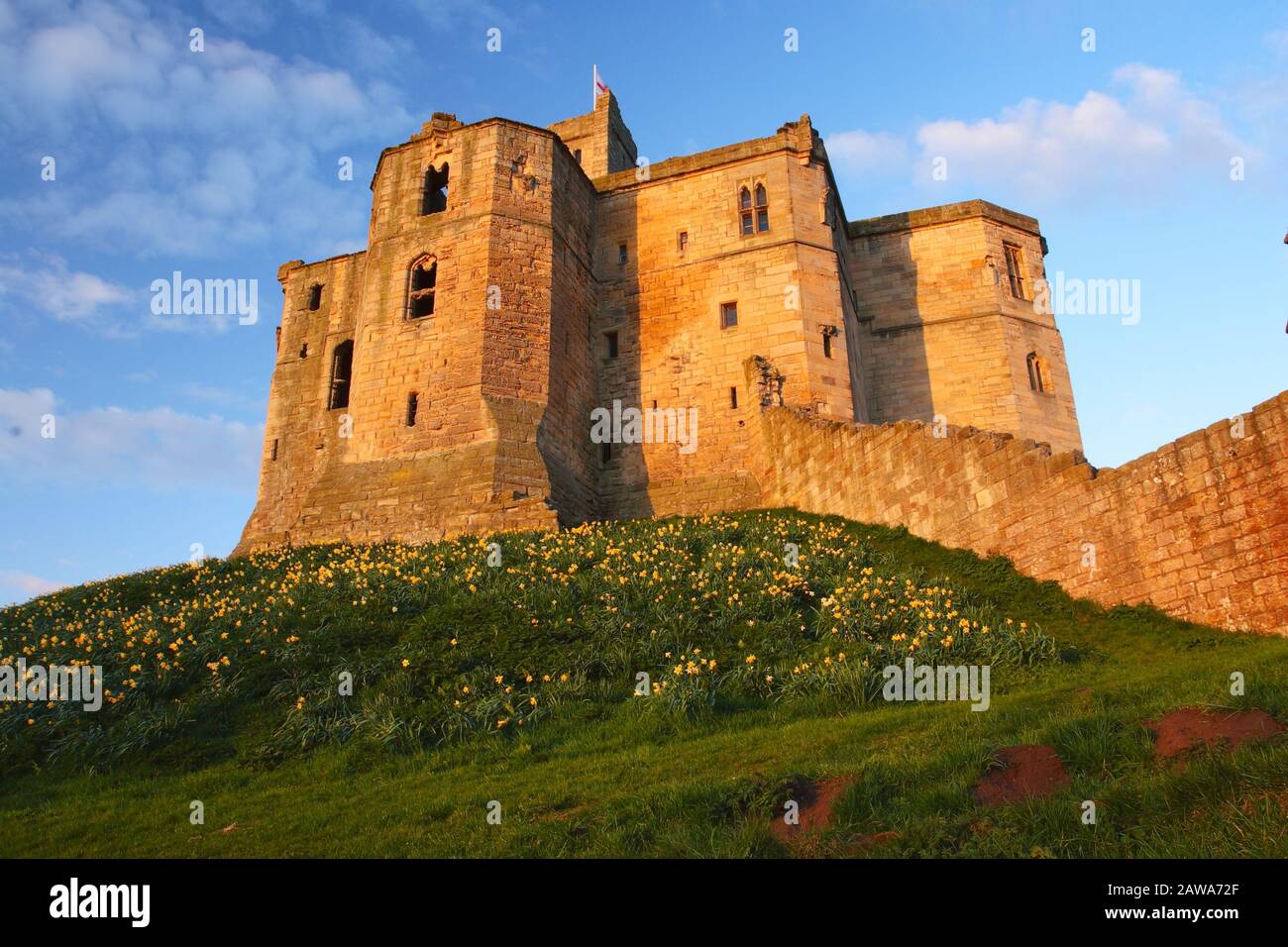 Warkworth Castle on a Spring Evening, Northumberland, England, United ...