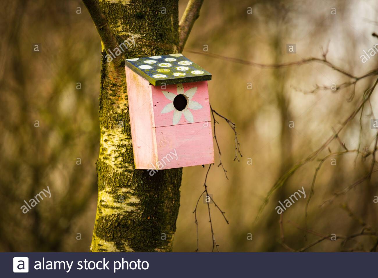 Bird Boxes On Tree Stock Photos & Bird Boxes On Tree Stock Images - Alamy