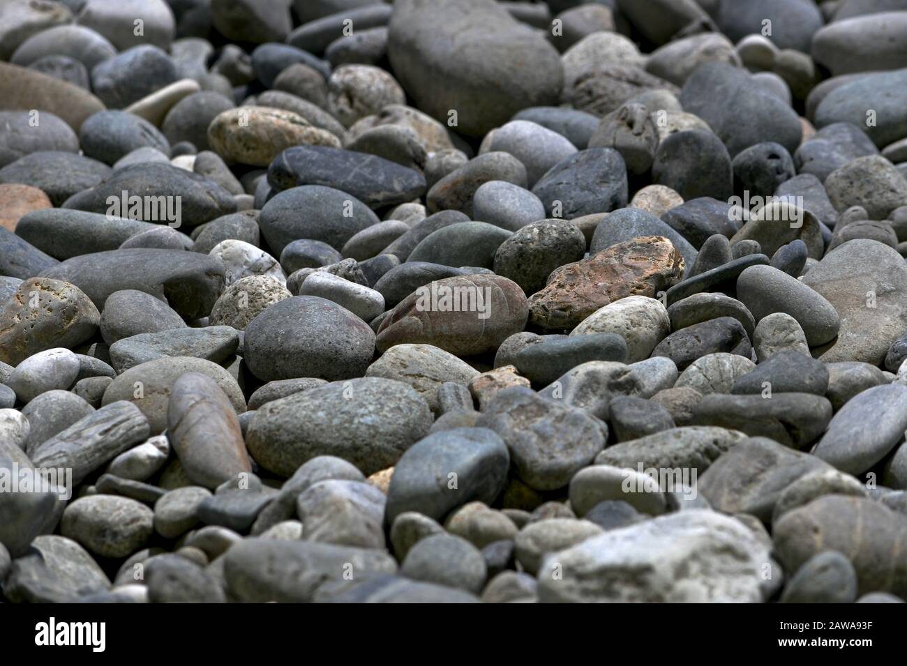 River pebbles are not large for the whole frame Stock Photo - Alamy