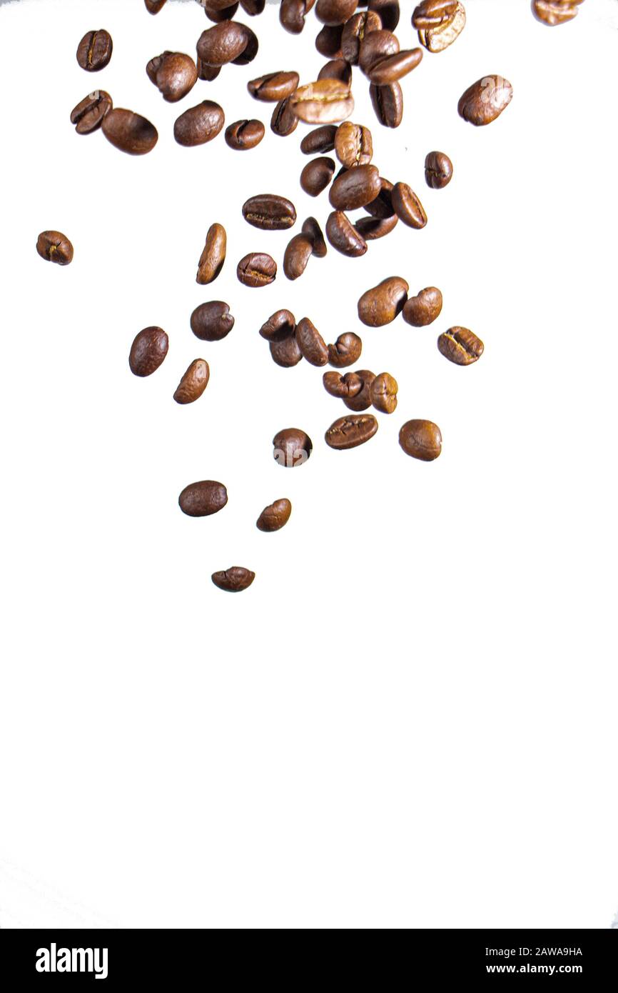 Falling coffee seeds on a white background Stock Photo - Alamy