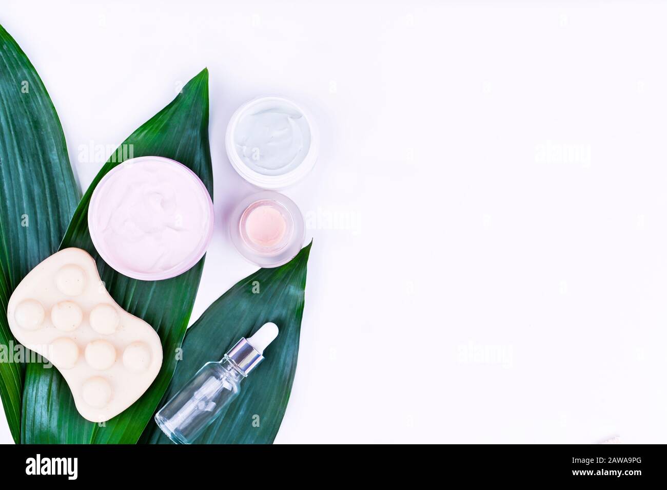 Beauty background with facial cosmetic products, large green leaves on ...