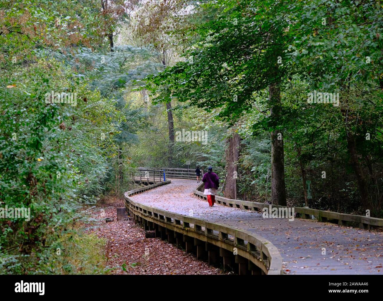 Woodland Walking Trail in Autumn Stock Photo - Alamy