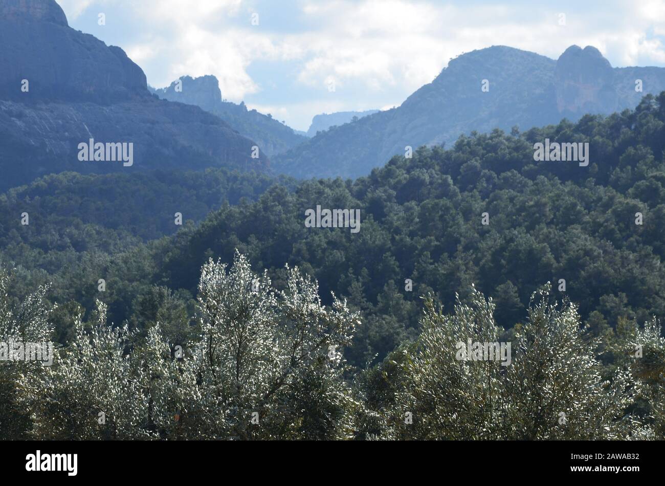 Els Ports natural park, a limestone mountain massif at the border ...