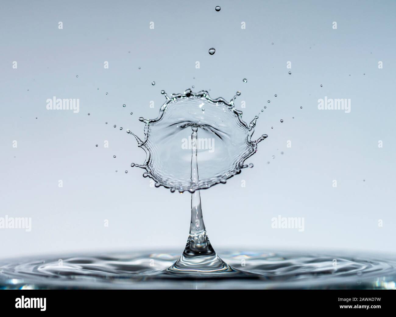 Water drops fall from a height of pure, clear water forming splashes in ...