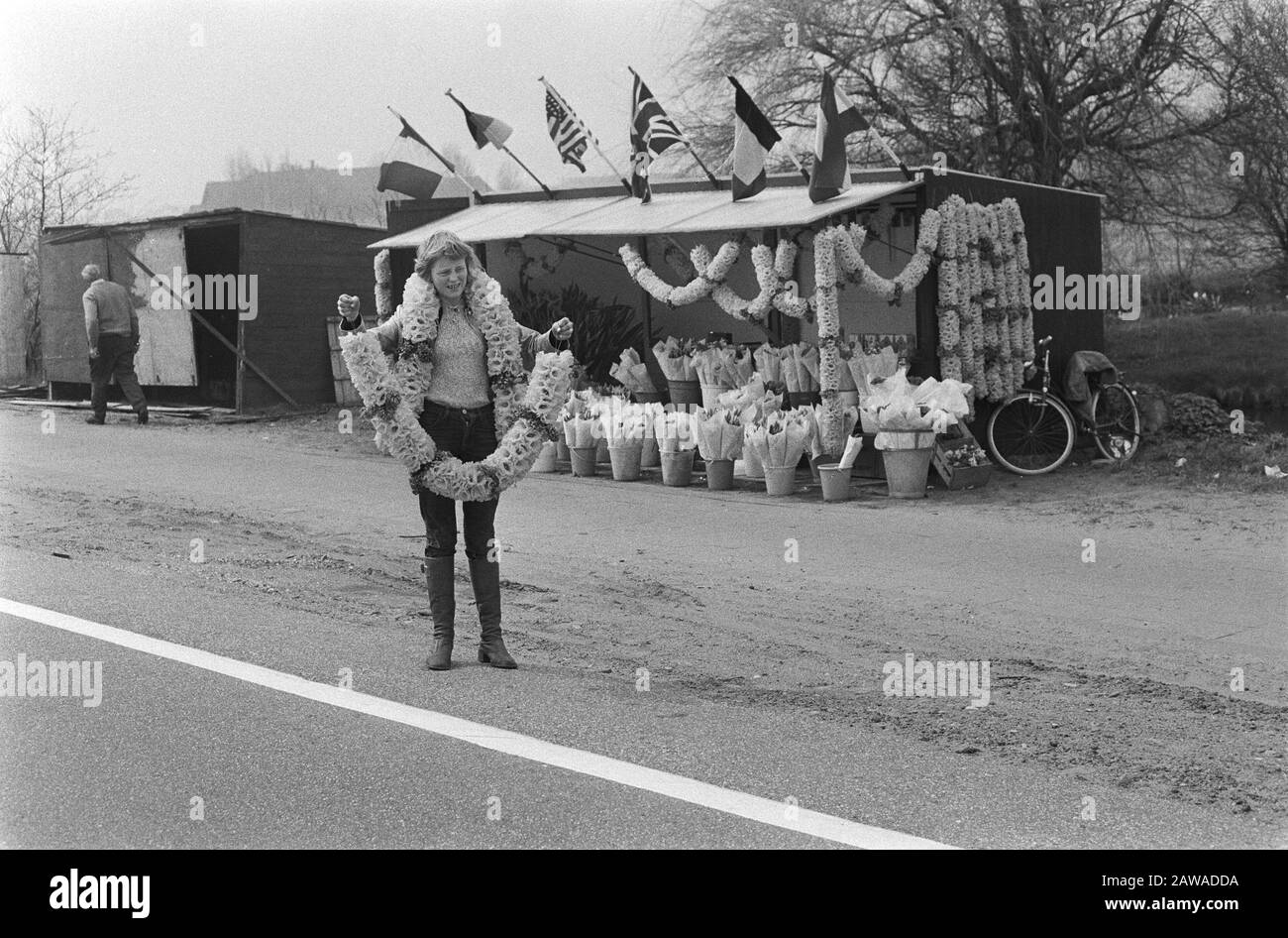 Flower bulbs are blooming description: Girl with garlands in a stall ...