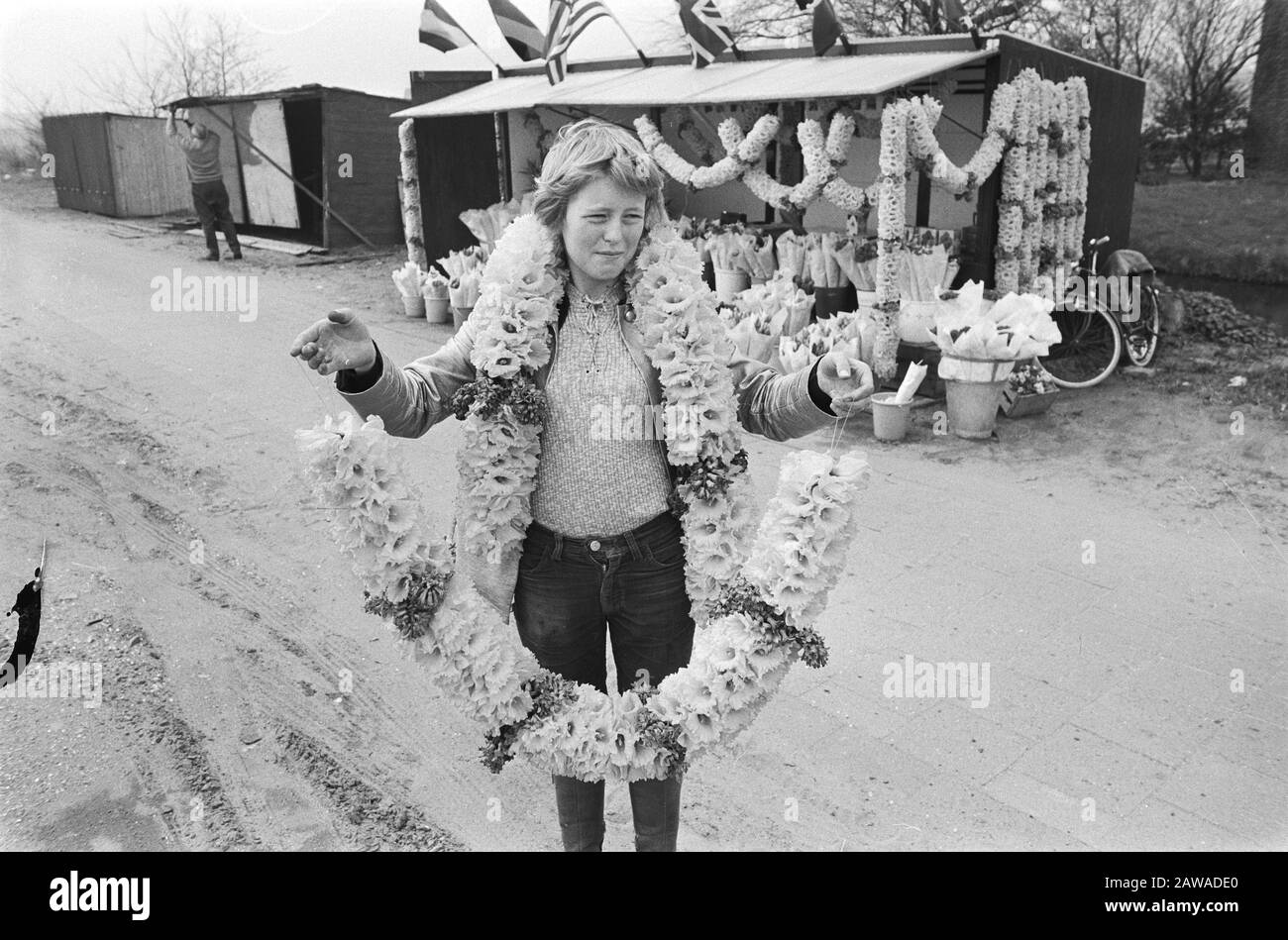 Flower bulbs are blooming description: Girl with garlands in a stall ...