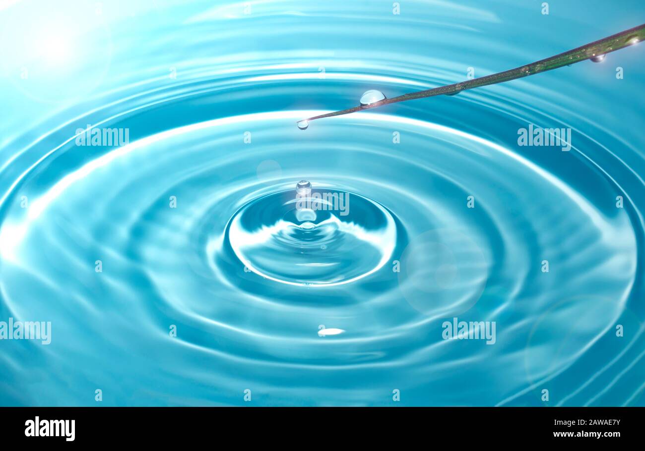 Dew drops in spring sunlight fall from a blade of grass into clear ...