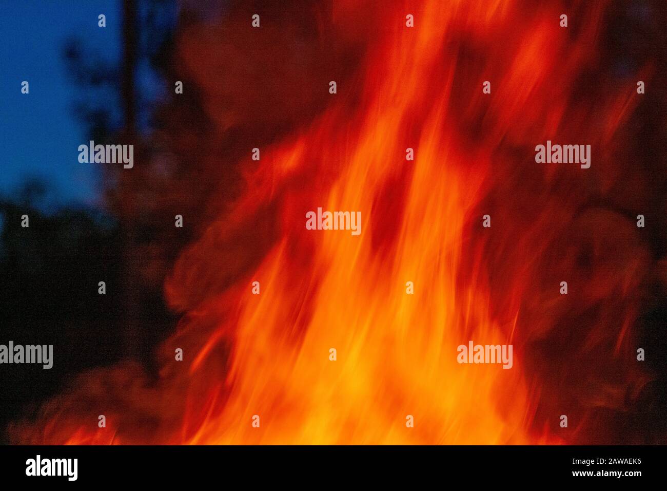 Texture of fire. Orange bright flame. Photo of a burning bonfire in a ...