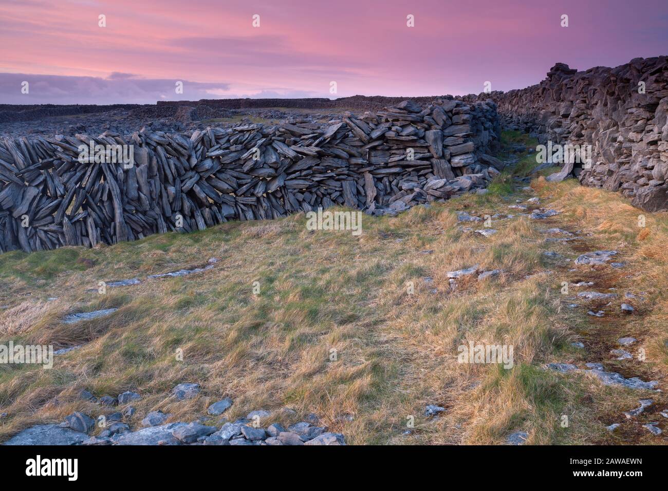 Stone walls on Inishmaan island, middle of the Aran islands on the Wild ...