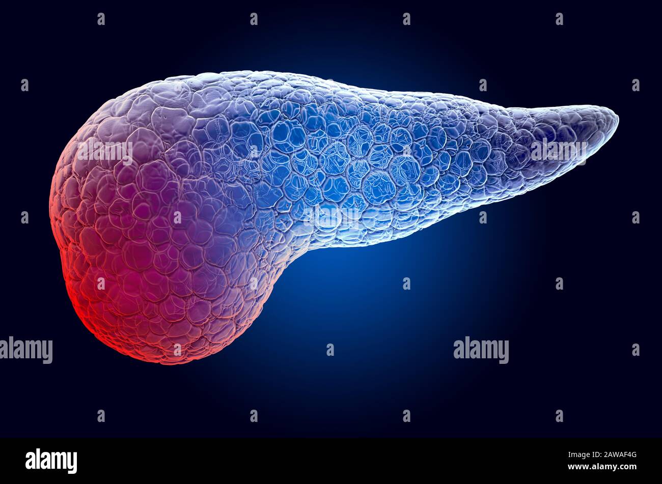Pain in Pancreatic concept. Ghost light effect, x-ray hologram. 3D ...