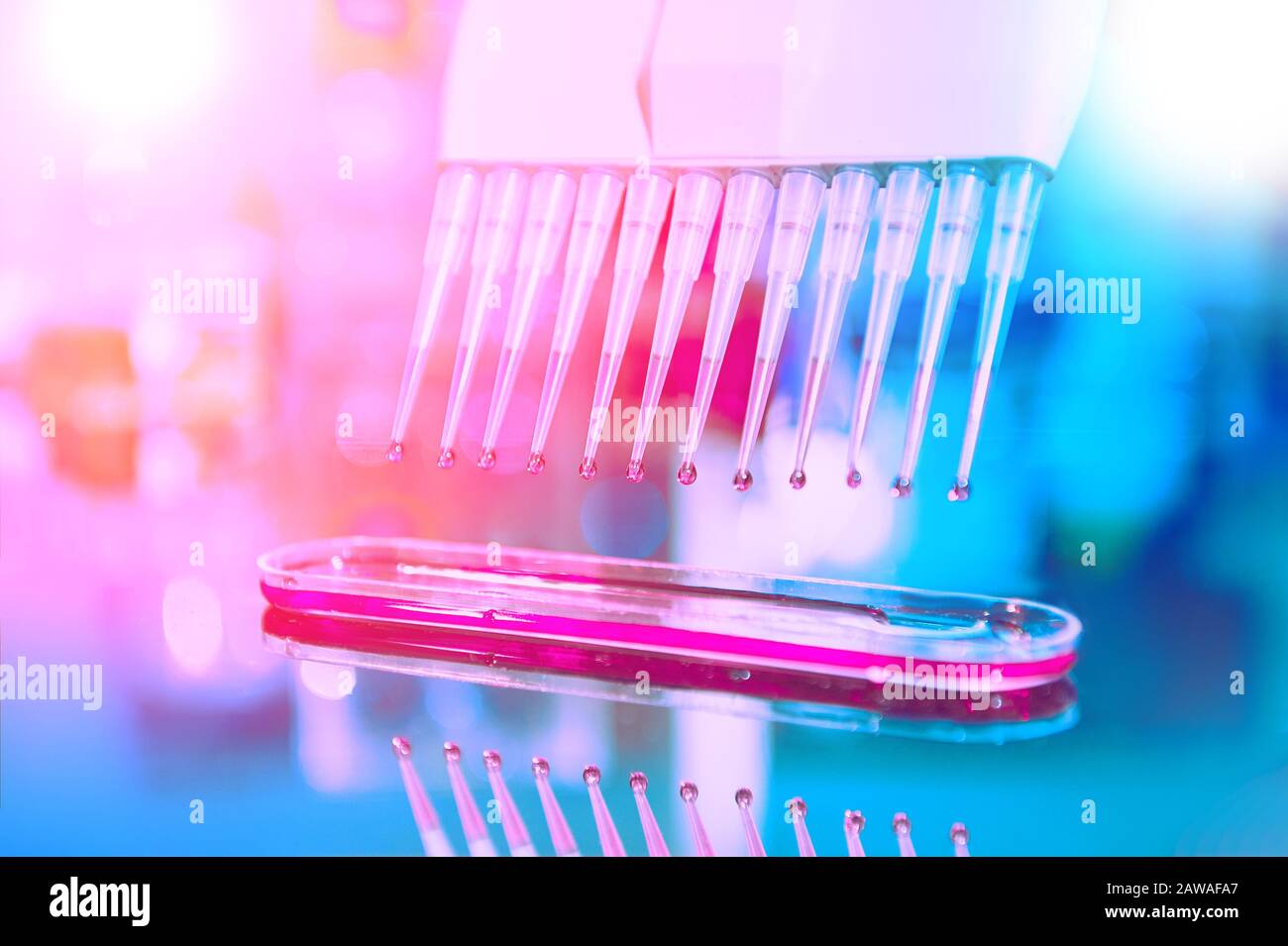 Papid molecular assay, pcr analysis for express testing of novel novel ...