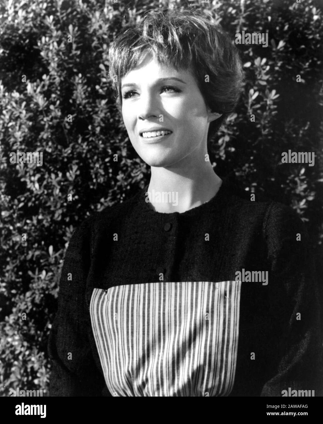 Julie Andrews 1965