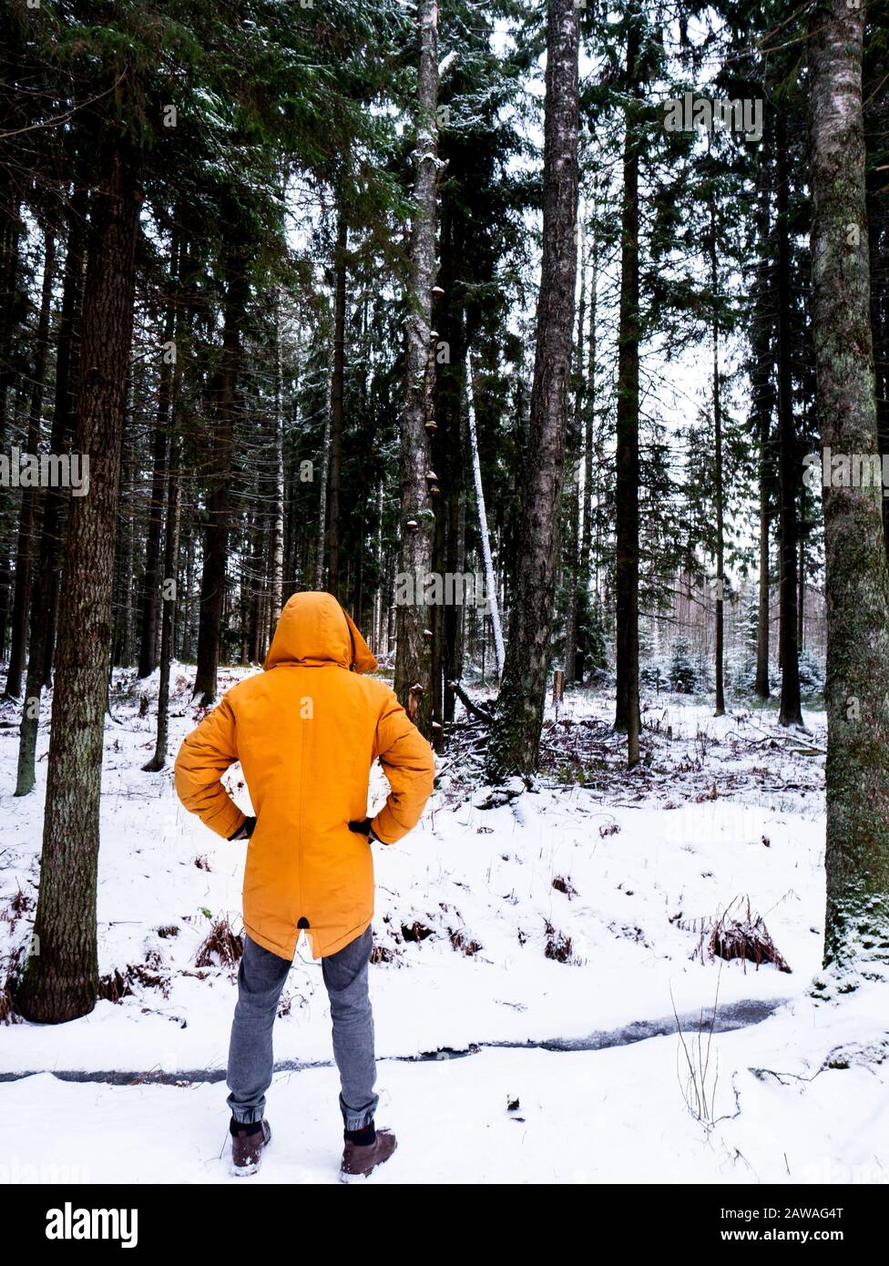 Man in a bright yellow jacket. Nature forest Stock Photo - Alamy