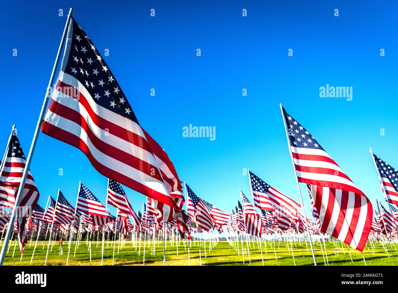 Blue field of white stars hi-res stock photography and images - Alamy
