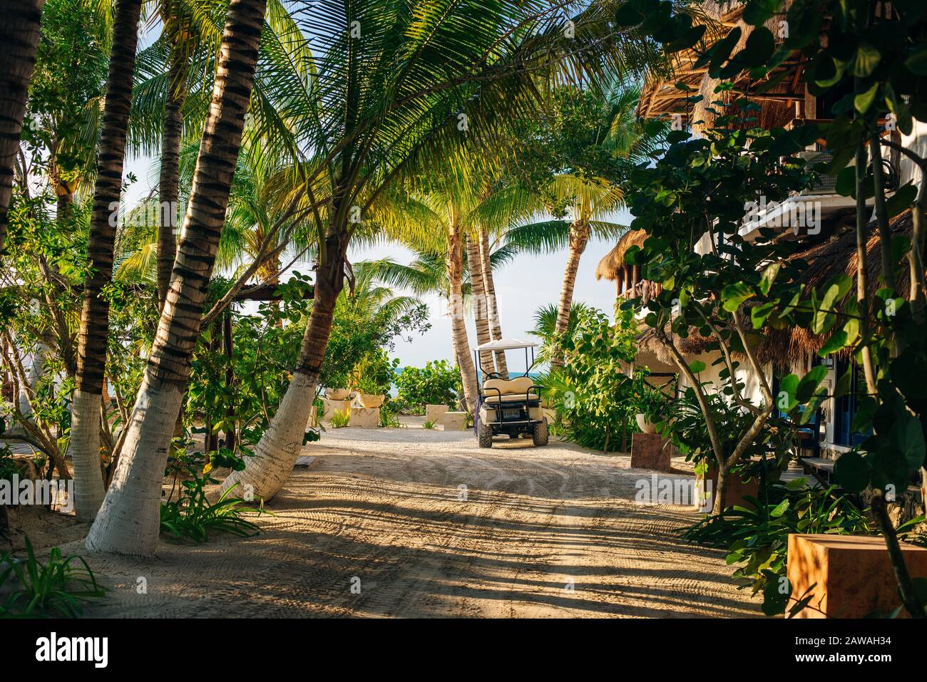 Natural View of Beautiful Holbox in Mexico. taxi at sunset Stock Photo ...
