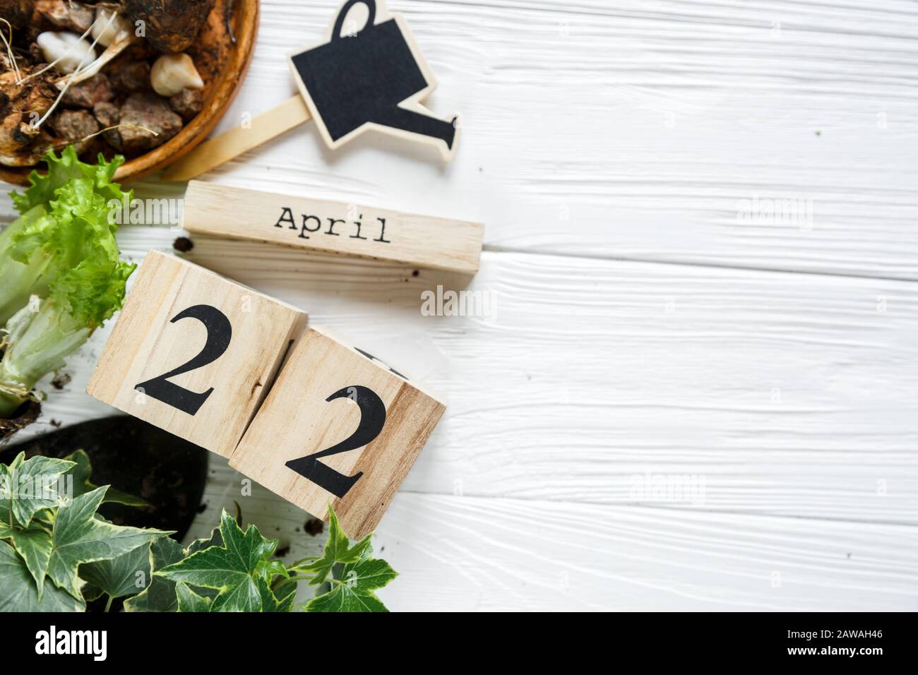 Young plants in pots, shovel, gloves for pottering on white wooden ...