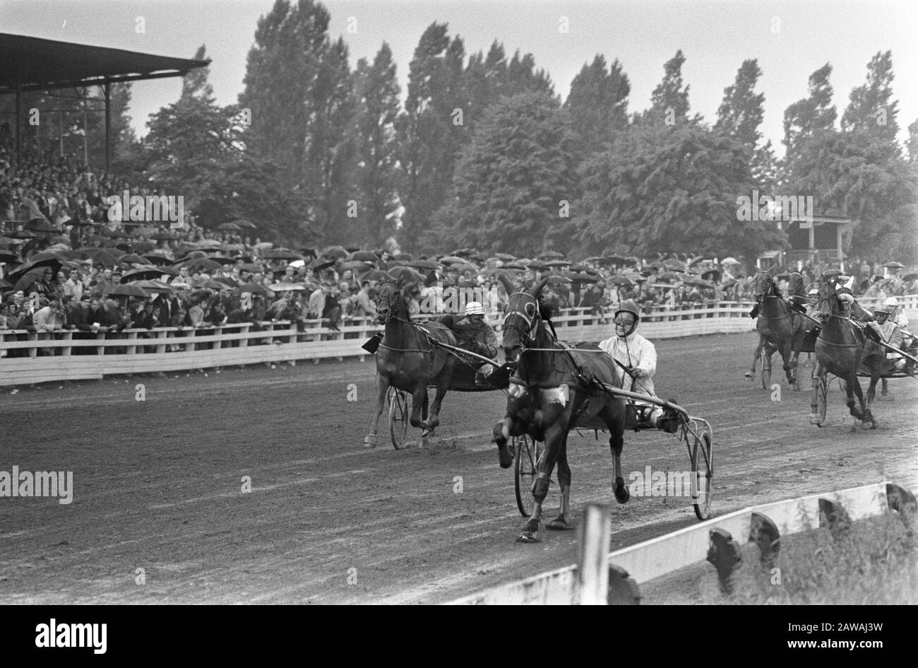 Miles Record price final trotting Racetrack Mereveld; Overview Date ...