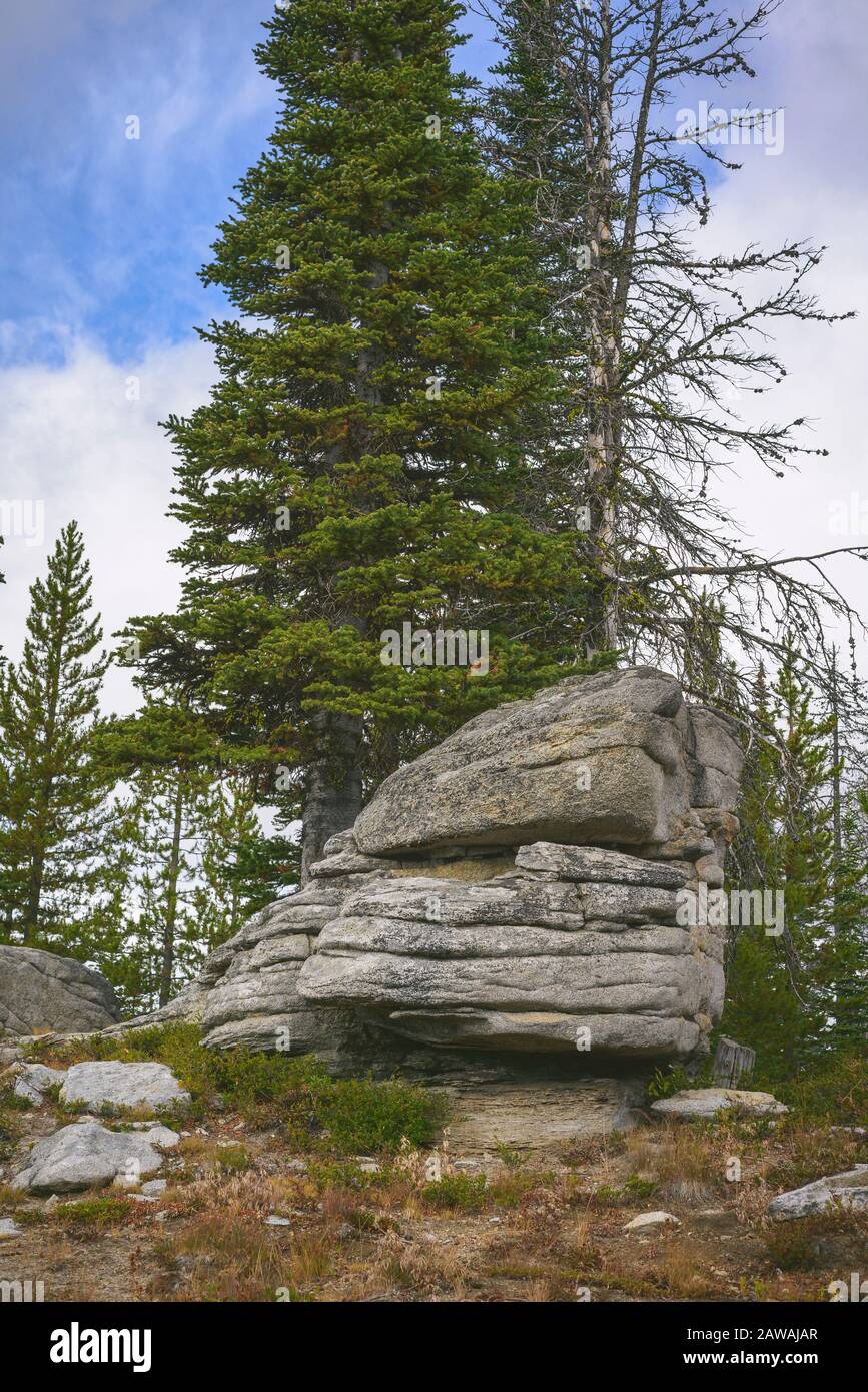 People trees rocks hi-res stock photography and images - Alamy
