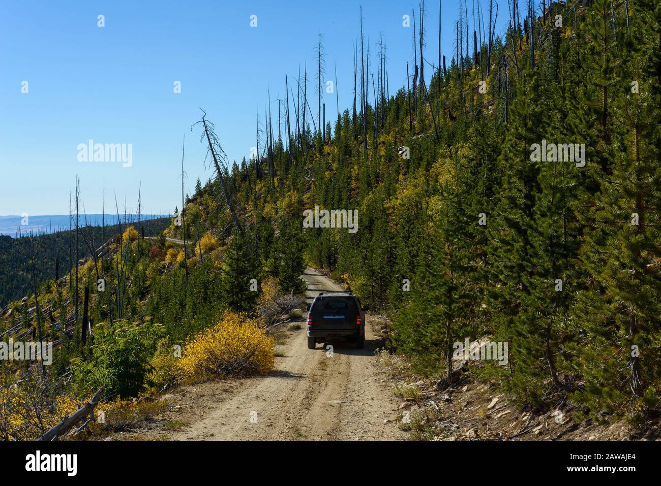 Gravel forest service road hi-res stock photography and images - Alamy