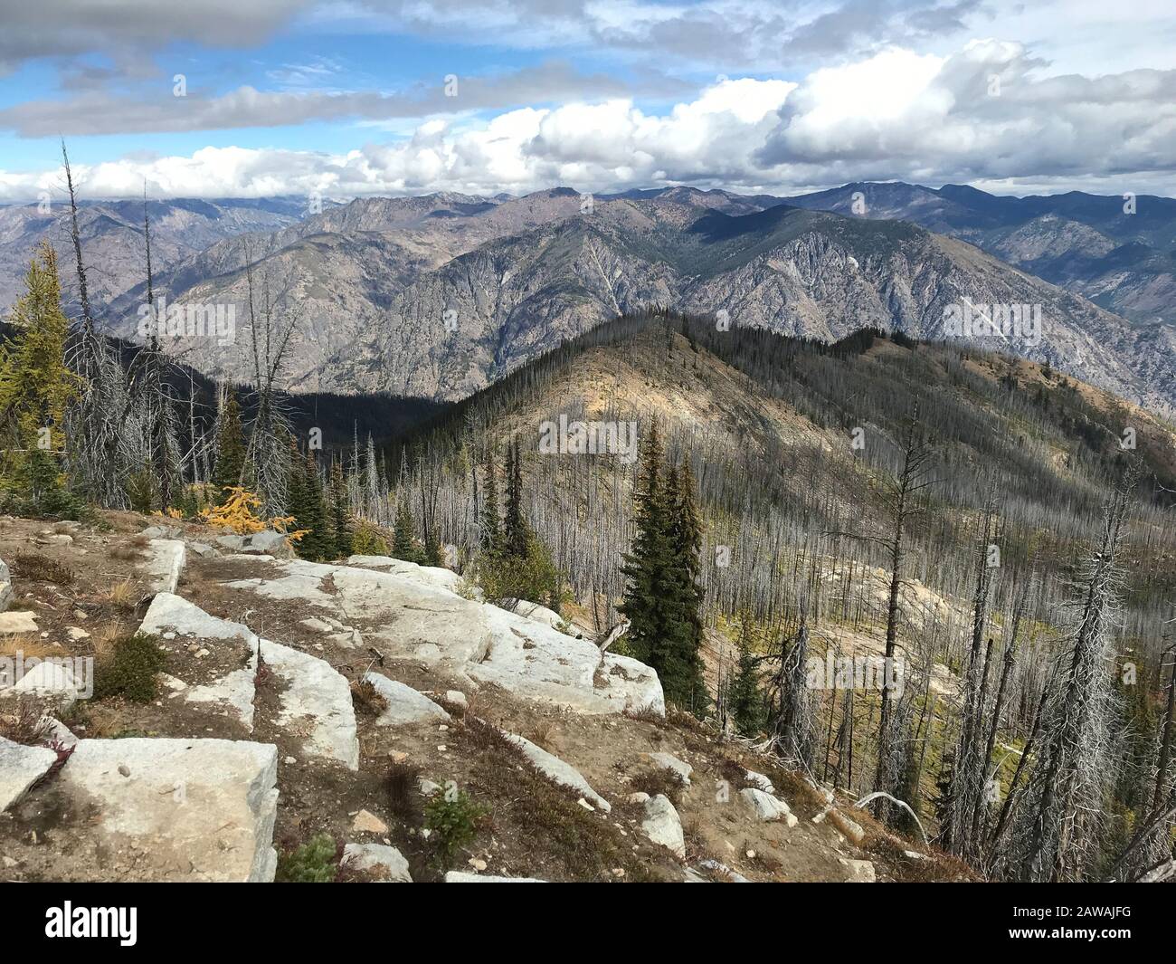 Dramatic Clouds Over Burned Trees From Forest Fire Stock Photo - Alamy
