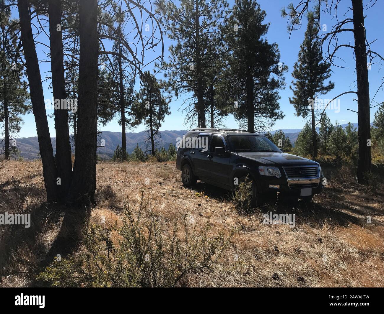 SUV Vehicle Parked In Forest Stock Photo - Alamy