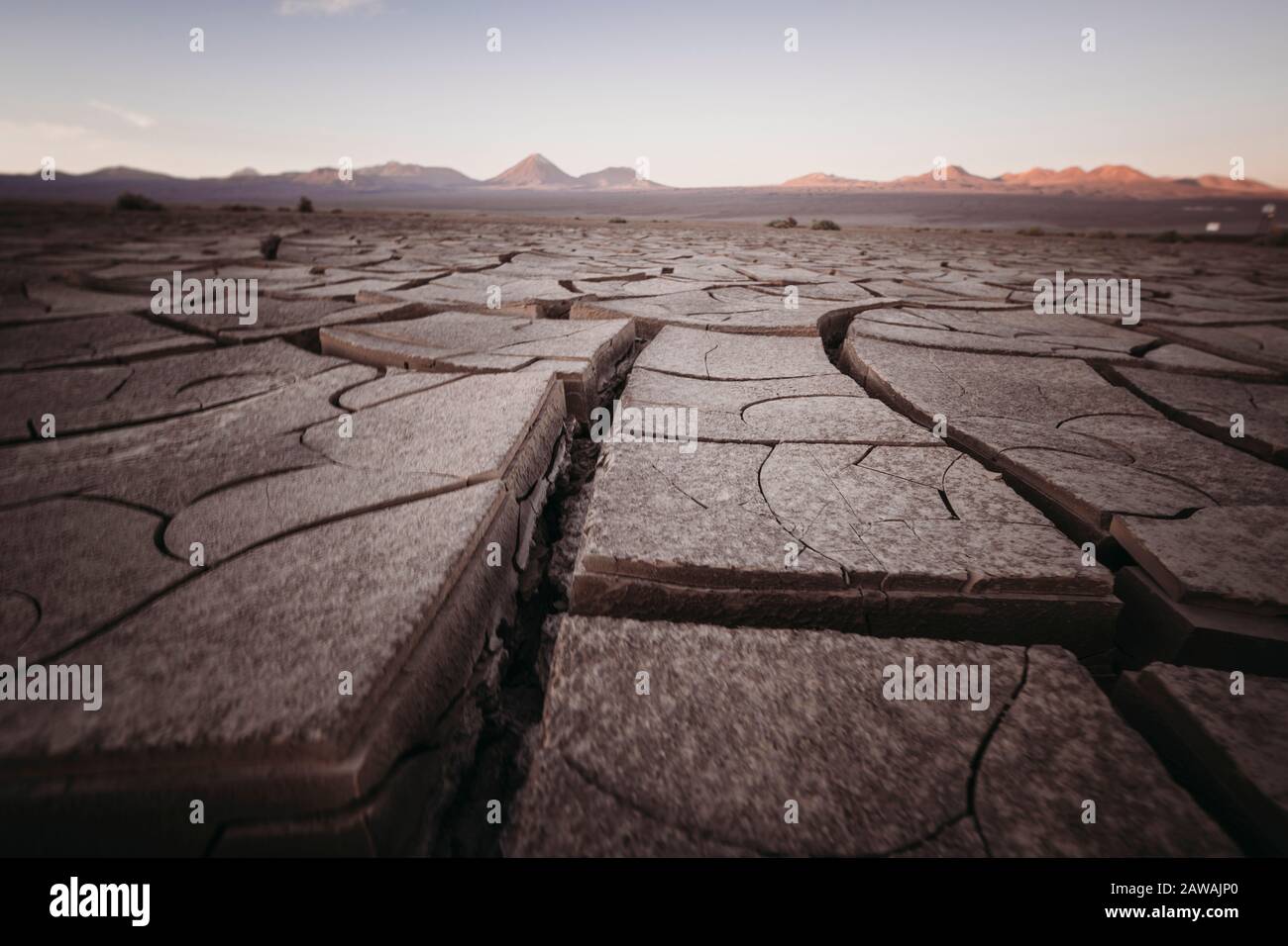 erosion cracks in Atacama desert Stock Photo - Alamy